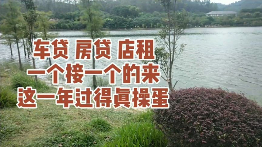 房贷 车贷 店租 信用卡账单一个接一个的来,这日子快混不下去了