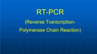 实时荧光定量PCR-数据分析讲解
