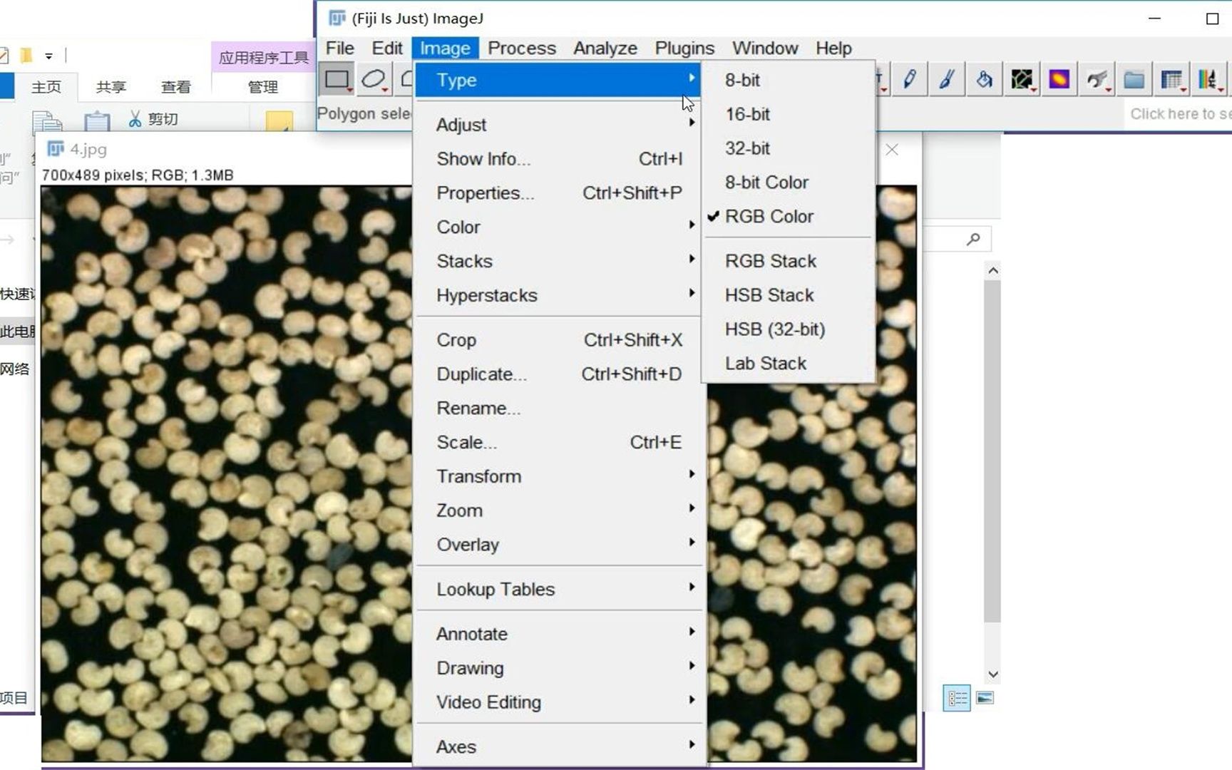 ImageJ Fiji 灰度分析 下载安装指南 电脑新手也能
