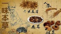 一味本草葛根|亚洲人参葛根多重功效及食疗方法禁忌, 还有那些呢