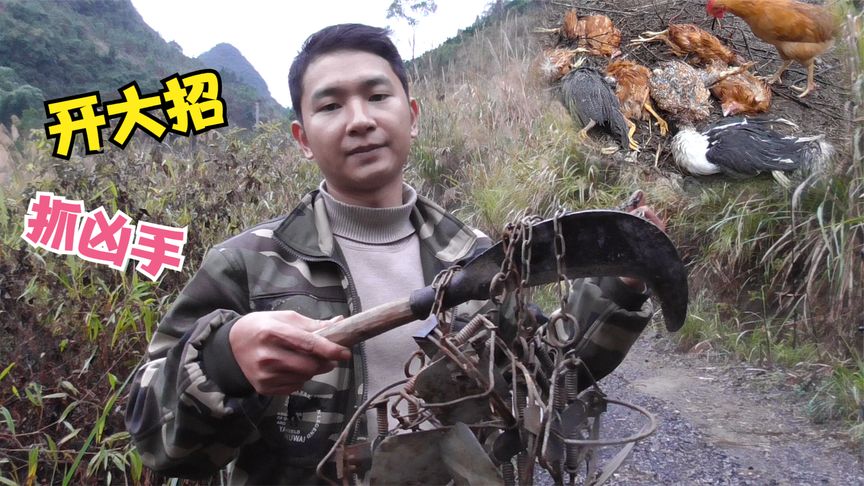 养殖的土鸡被疯狗咬死，小伙尝试用这个方法抓它，看看效果怎么样