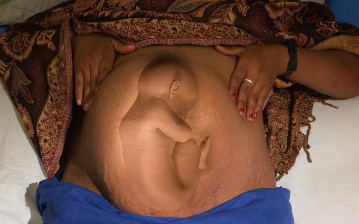 透视角度看怀孕的肚子会怎样?太神奇了!@油兔不二字幕组