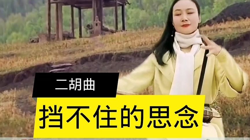 二胡曲《挡不住的思念》配谱