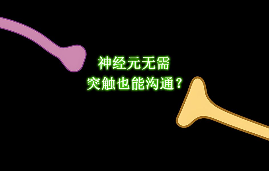...不用突触也能让其他神经元产生动作电位。Ephaptic coupling的原理。