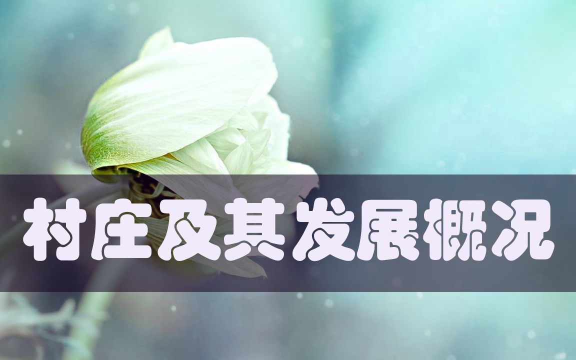 村庄及其发展概况