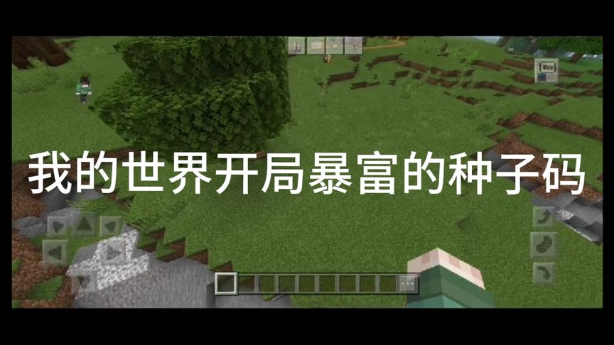 我的世界开局暴富的种子码:一村庄,一哨塔,一遗迹,一府邸