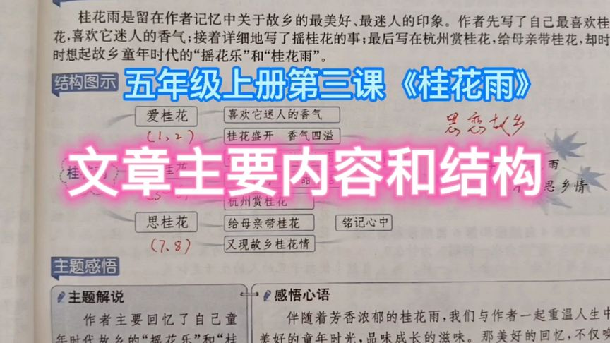 五年级上册第三课《桂花雨》主要内容和文章结构
