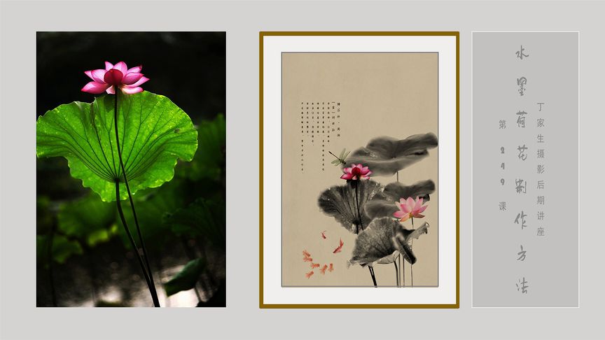 246.丁家生摄影后期讲座——水墨荷花制作方法