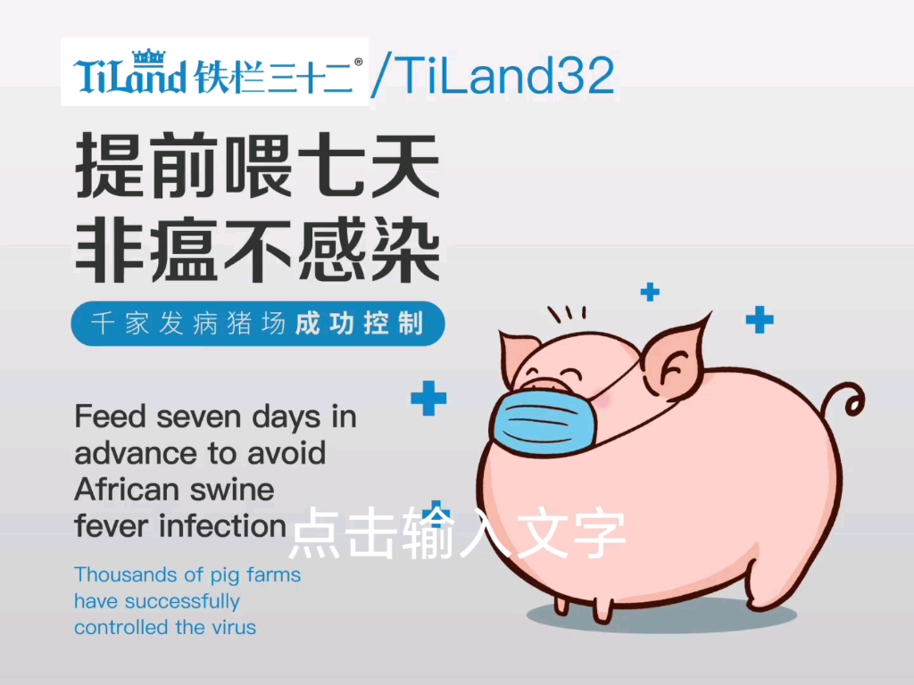 非瘟病毒,临床攻毒实验报告!