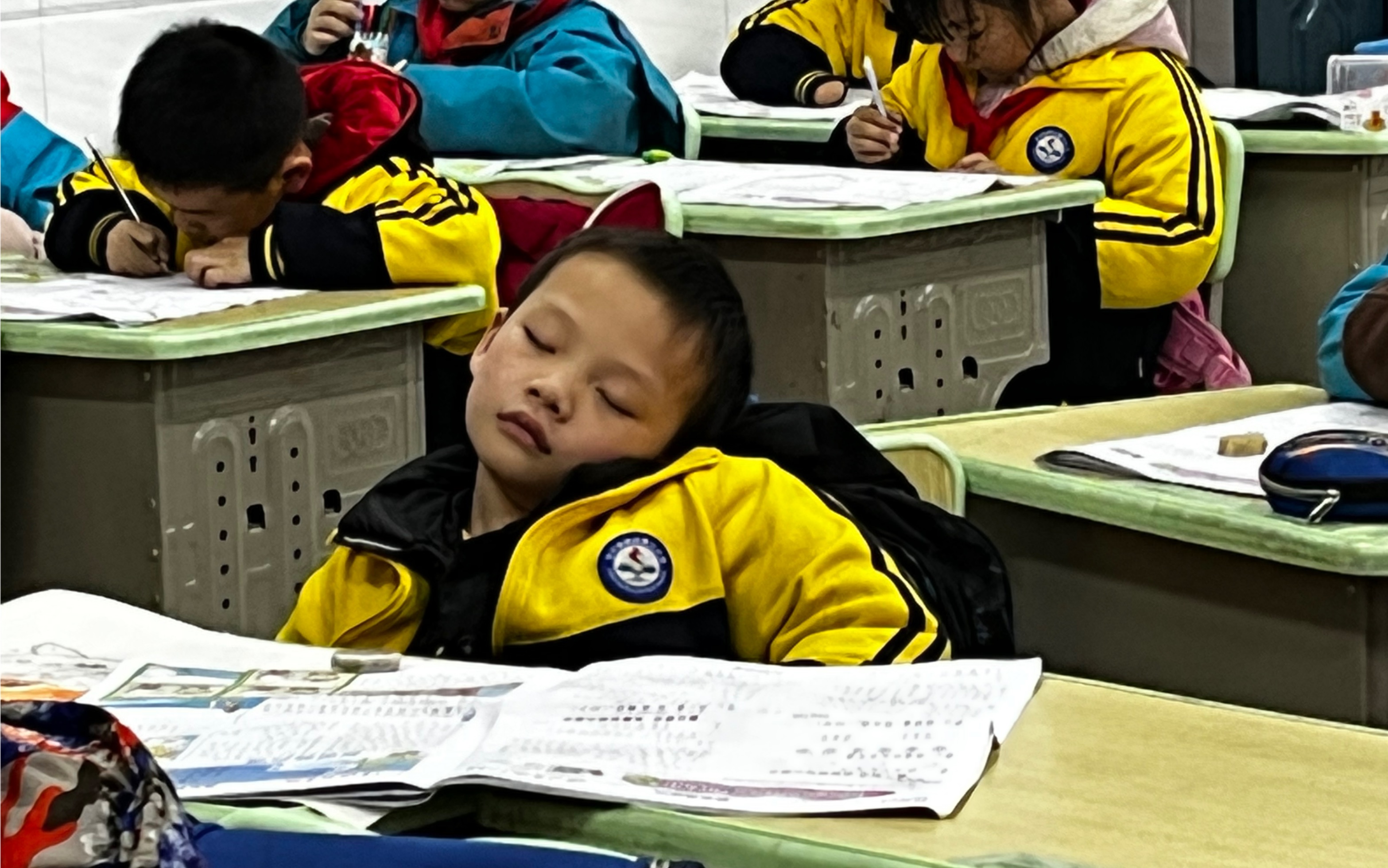 小学生 小学生上课。到底为什么会睡觉呢?