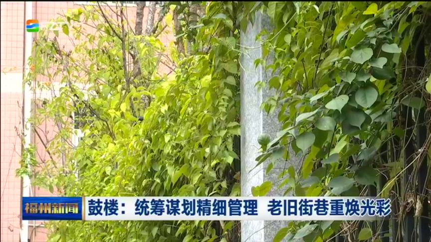 鼓楼:统筹谋划精细管理 老旧街巷重焕光彩