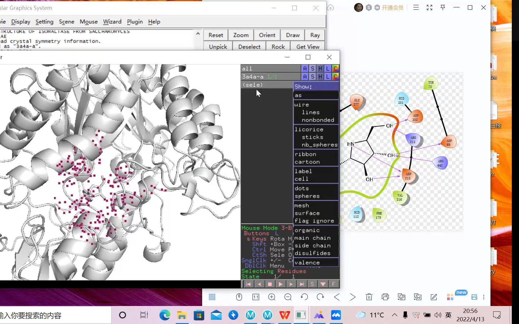 pymol做分子对接3D图,处理薛定谔分子对接后蛋白-化合物可视化