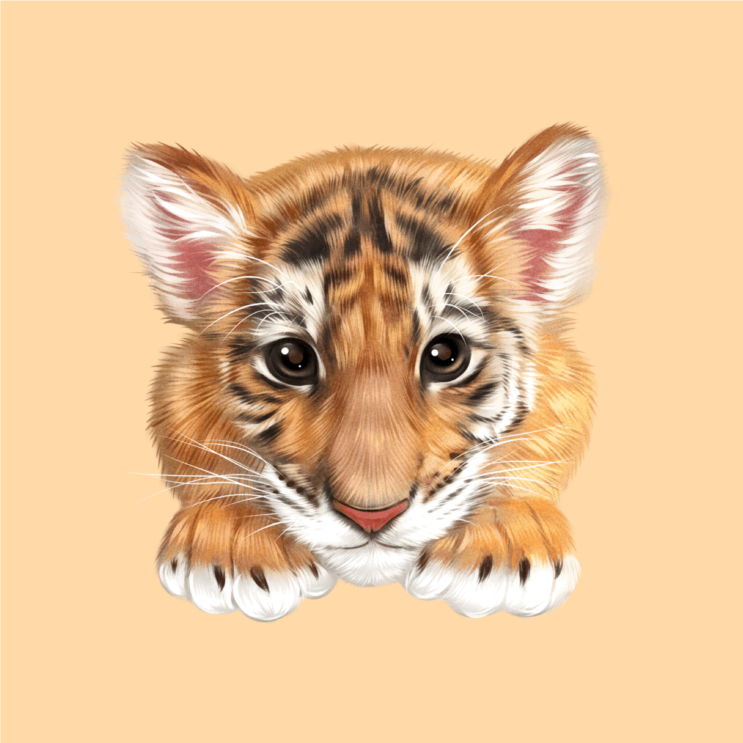 Tiger_OwO 