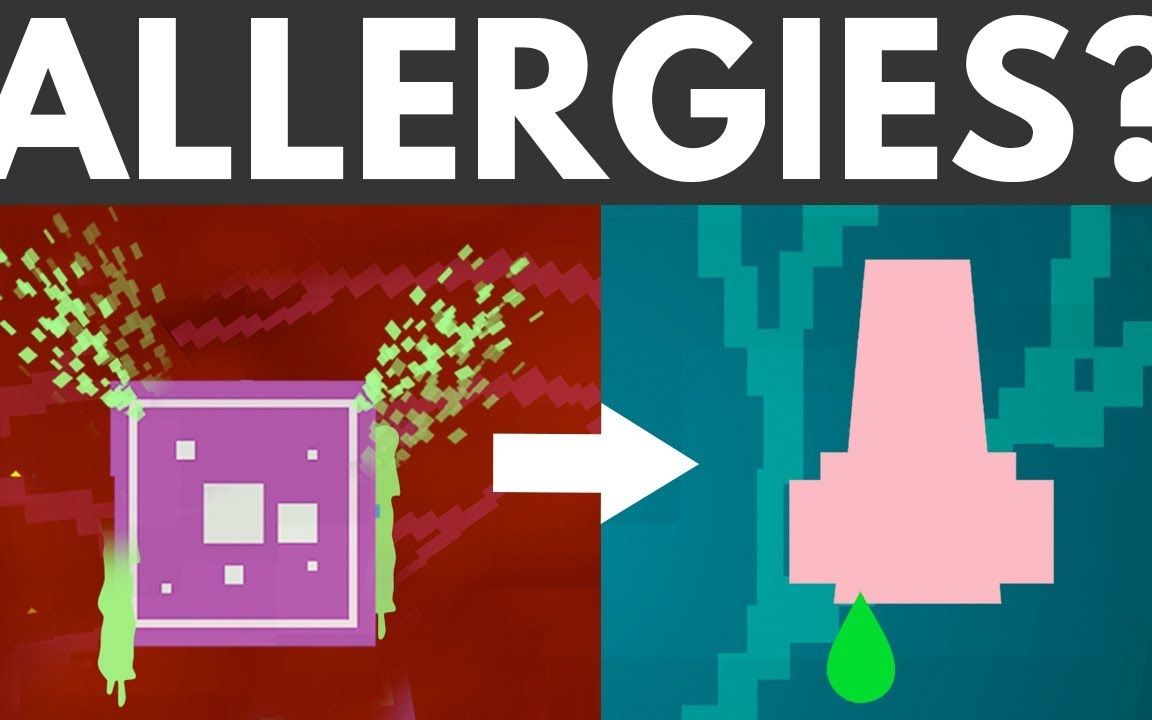 【生活碎碎念】过敏对我们的身体有什么影响?@柚子木字幕组