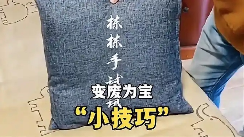 旧羽绒服千万别扔,教你怎样制作成抱枕
