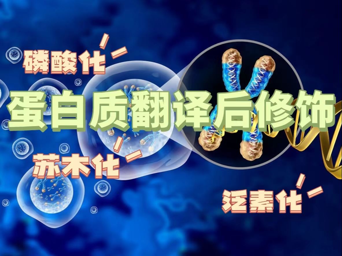 【蛋白质翻译后修饰】不同类型、机制、功能动画详解,含经验总结;...