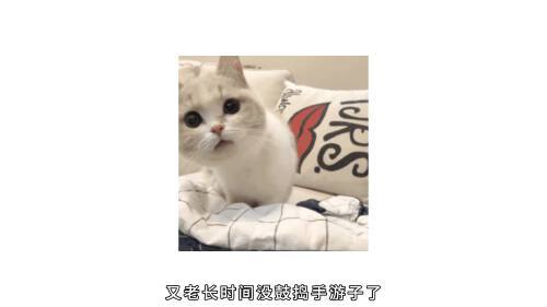 高仿版CS16手游?建模、画风确实挺还原