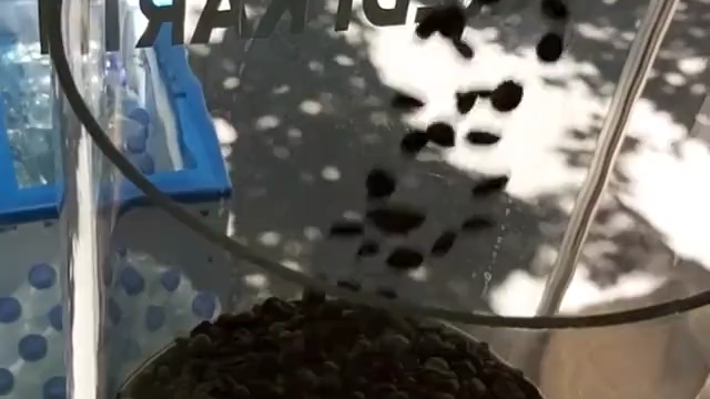 你喜欢咖啡豆现磨的咖啡吗?