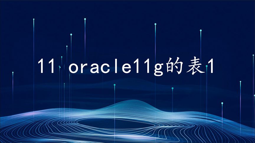 OCA进阶教程11 oracle11g的表