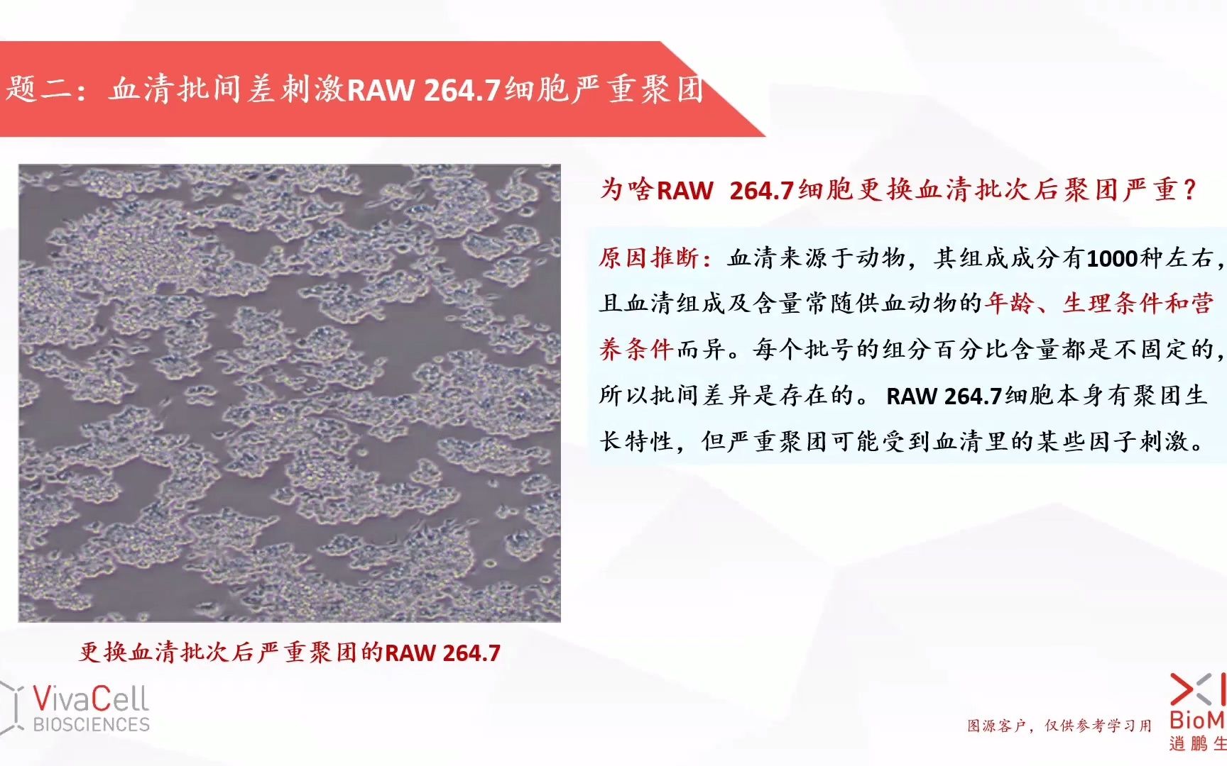 【VivaCell小知识】RAW 264.7巨噬细胞培养三大问题