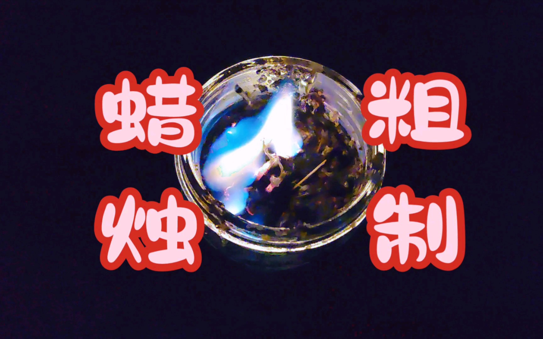 【生存向】怎么制作一个蜡烛?找白蜡虫帮忙就好啦!第一期粗制蜡烛