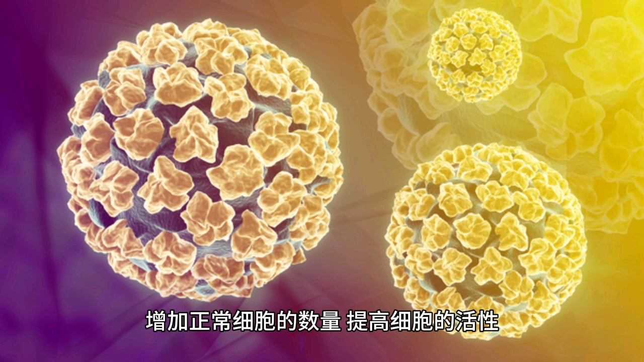 要想科技抗衰老,从了解神秘的干细胞开始!