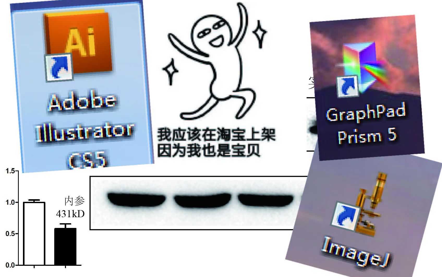 【入门】生物技术系咸鱼教你简单后期WesternBlot条带