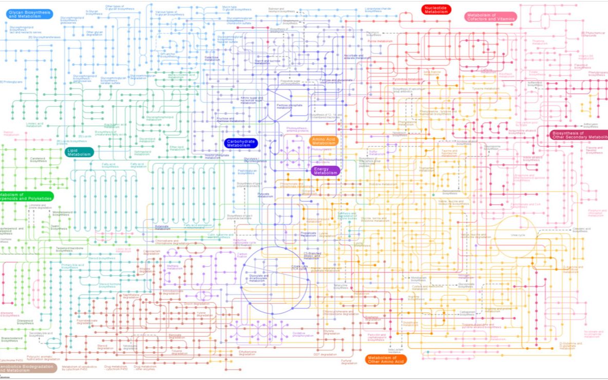 [信号转导][补充章]