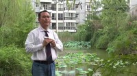 让我们荡起双桨 口琴独奏