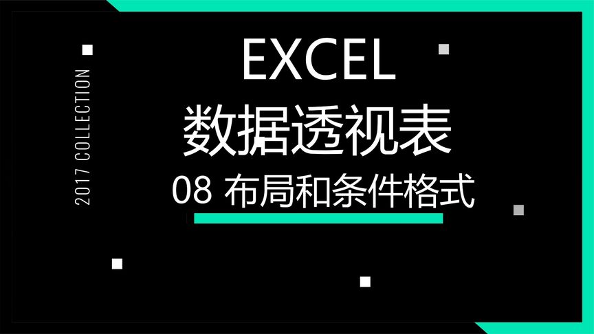08EXCEL数据透视表 布局和条件格式