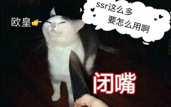 阴阳师萌新攻略之 每个ssr到底有什么用、怎么用、用什么御魂?