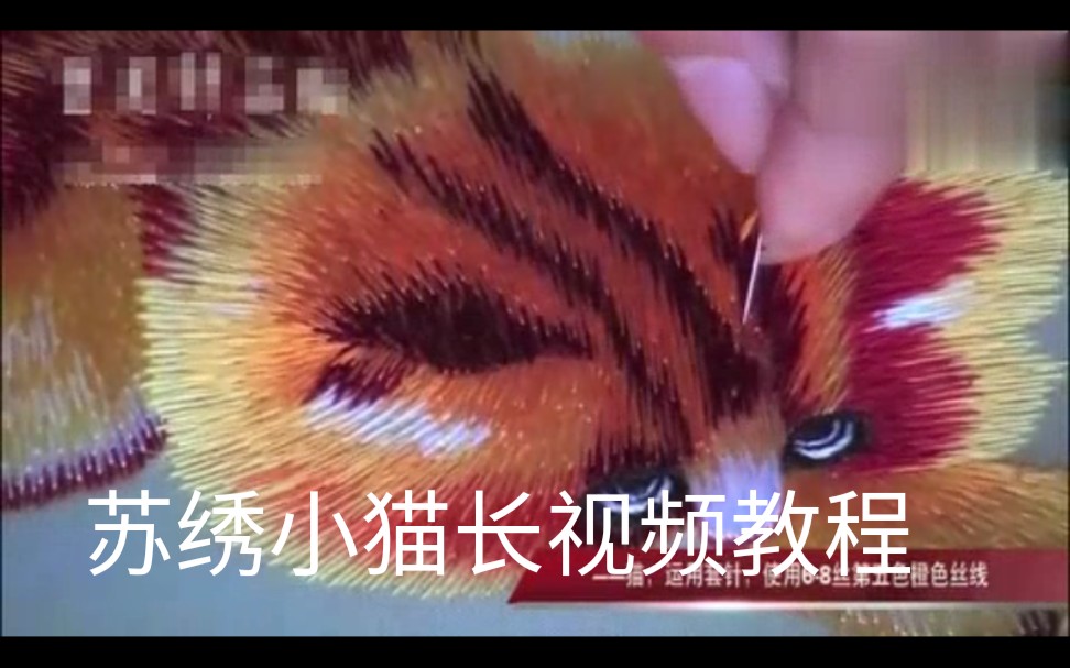 苏绣小猫长视频教程