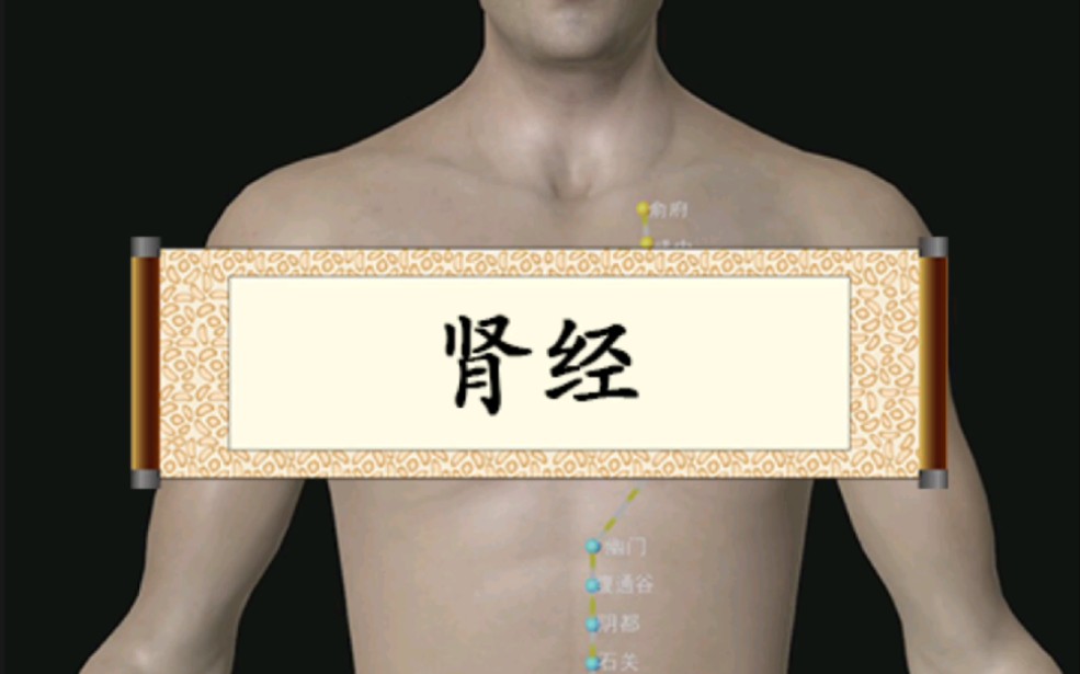 【针灸经络穴位】足少阴肾经的穴位和内外循行