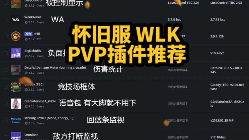 魔兽世界怀旧服WLK PVP插件推荐#魔兽世界 #魔兽世界怀旧服