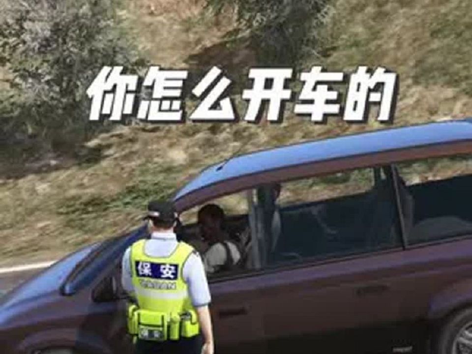 我们保安队竟然被截停了!_单机游戏热门视频