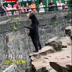 方寸山579 