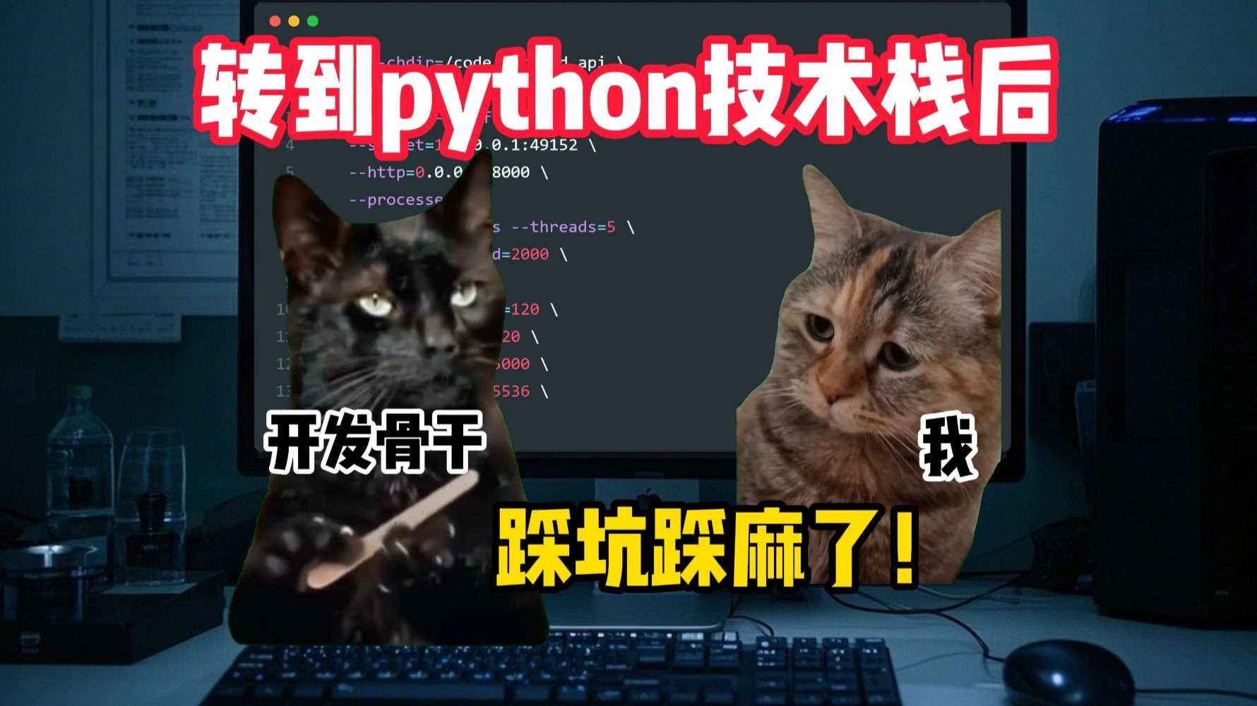 转到python技术栈后,变成了踩坑大王!