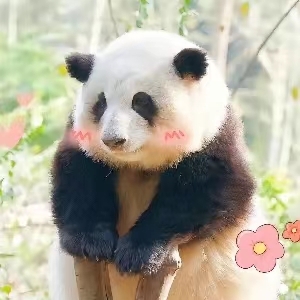 小奈酱子完结文 