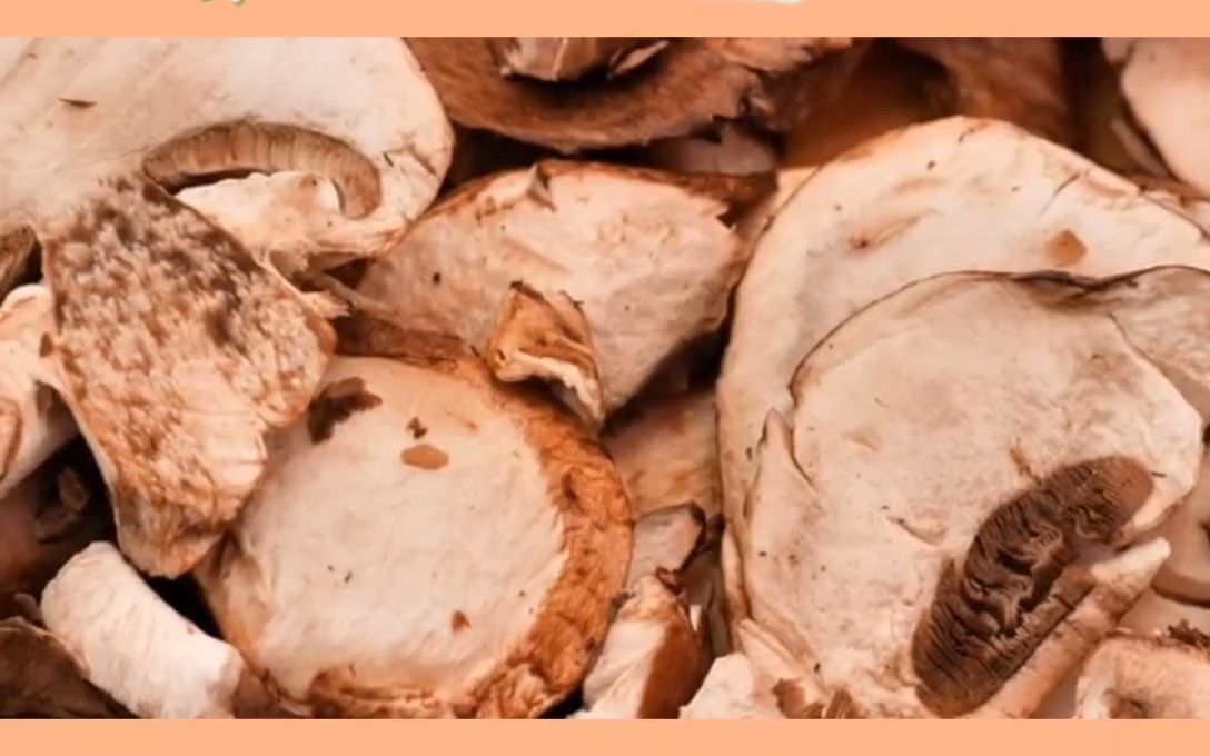 升阳茶的原料有什么功效