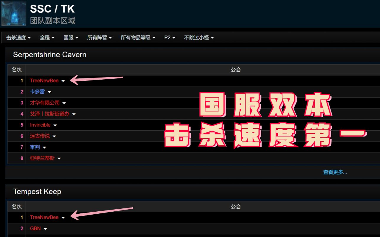 【魔兽世界怀旧服TBC】国服击杀速度第一 王子 治疗奶萨视角 指挥...