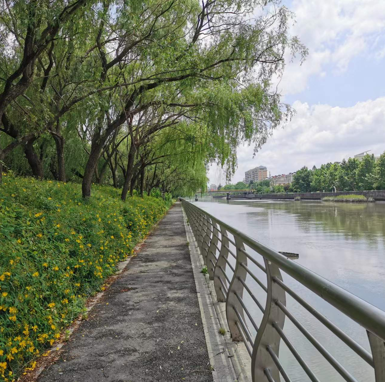 爱学习的胡老 