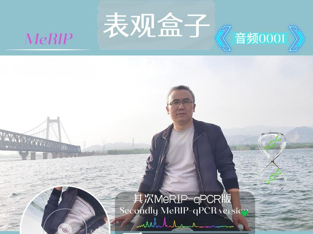 表观盒子-MeRIP-qPCR版试剂盒