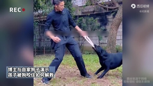 博主与自家狗子演示孩子被狗咬住如何解救