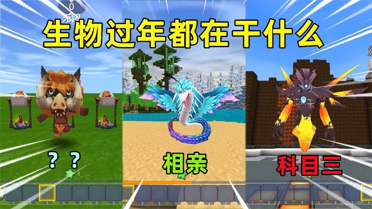 迷你世界:生物过年都在干什么!羽蛇神相亲,虚空幻影跳科目三