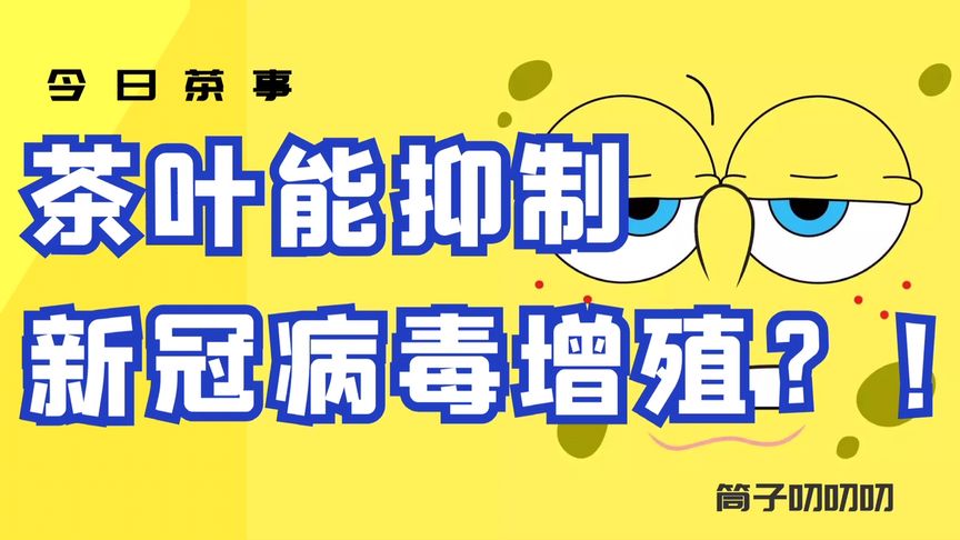 茶知识/茶叶能抑制体外新冠病毒增殖?筒子告诉你为啥?