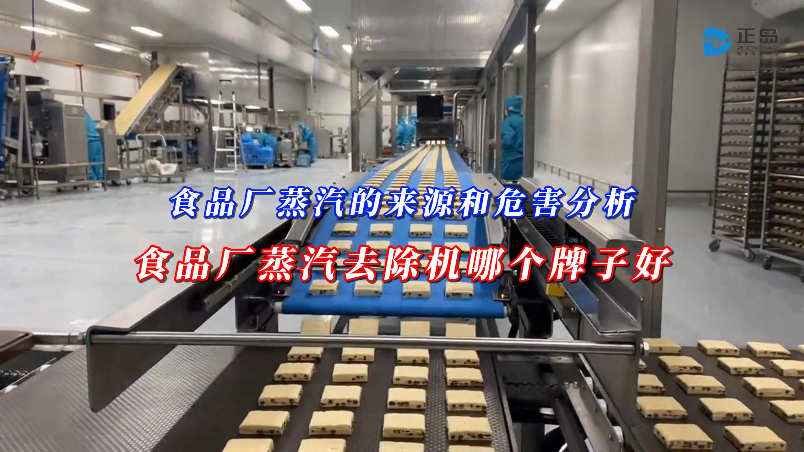 食品厂蒸汽的来源和危害分析 食品厂蒸汽去除机哪个牌子好