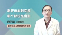 刷牙出血到底是哪个部位在出血