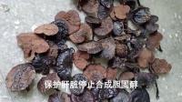 灵芝的功效与作用,赤灵芝的功效与作用,野生灵芝的十大功效(2