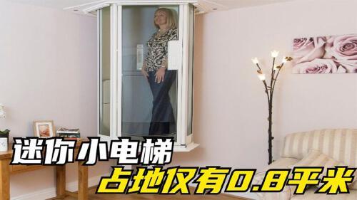 国外发明家用小电梯,仅占地0.8平米空间,轻松解决上下楼问题
