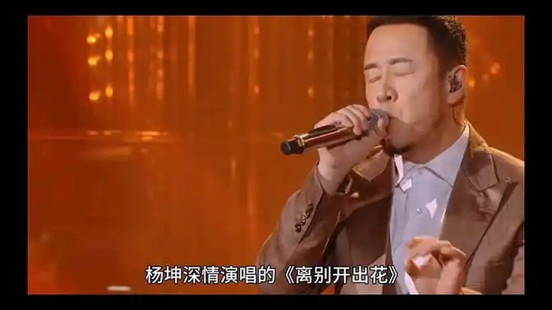 华语流行乐我为你打call